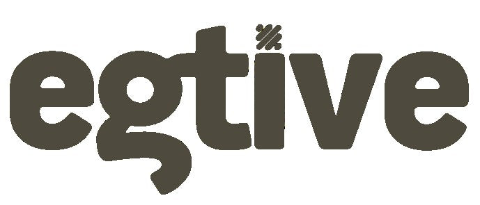 egtive-BOARD – Das Fitnessboard!